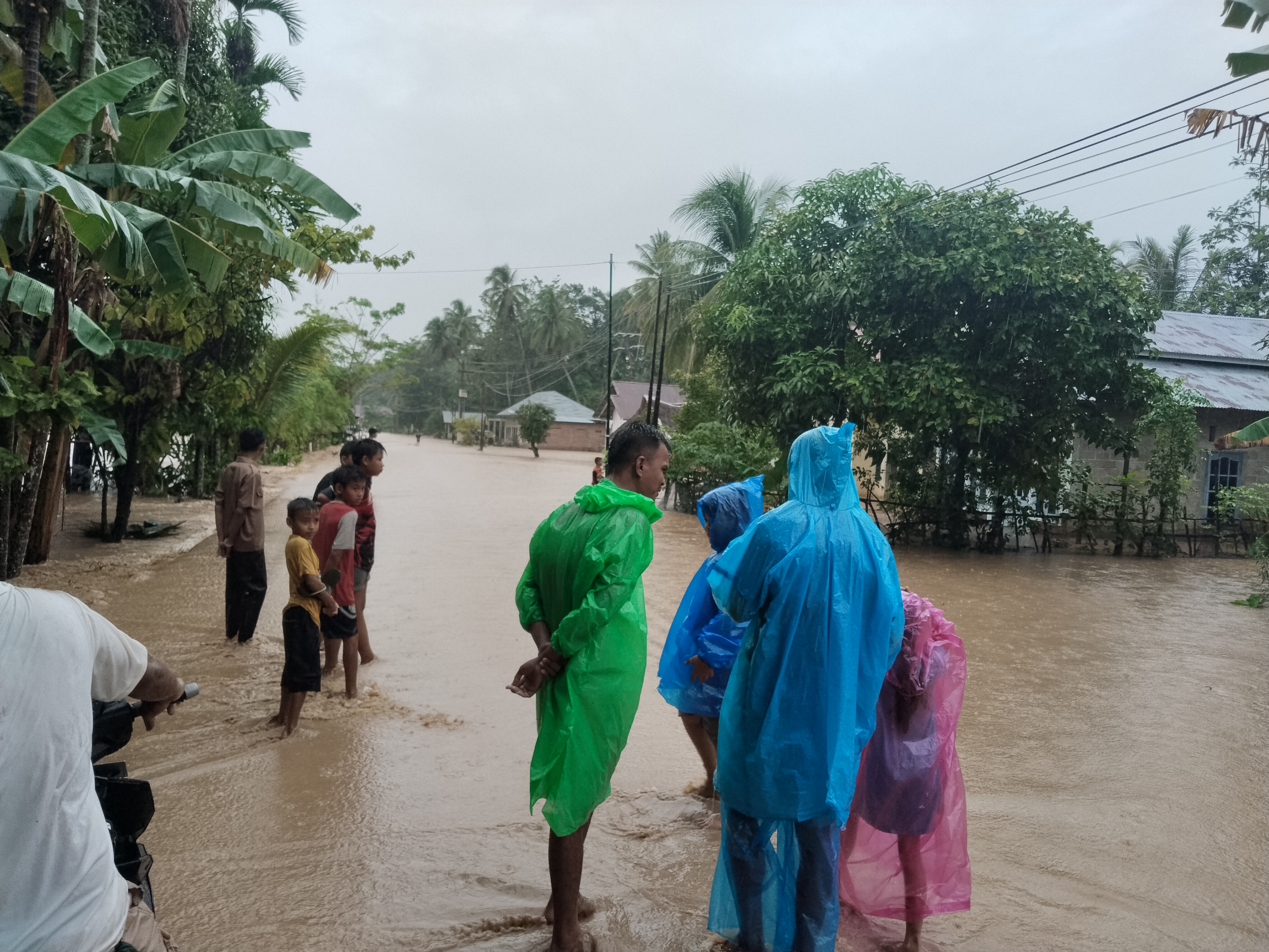 Pemerintah Kabupaten Pesisir Selatan - Arus Lalulintas di Ruas Jalan ...